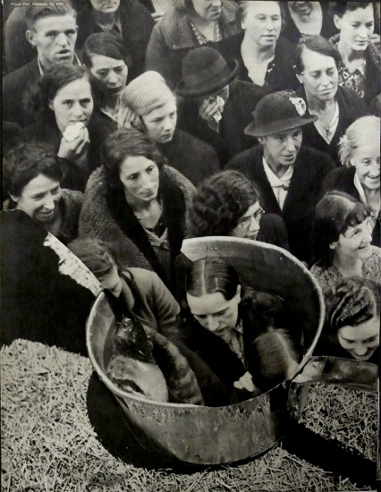 Javier Rodriguez - waterside contemporary