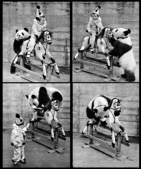 Javier Rodriguez - waterside contemporary